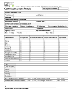 careassessment report-sample - Wise Caregiving